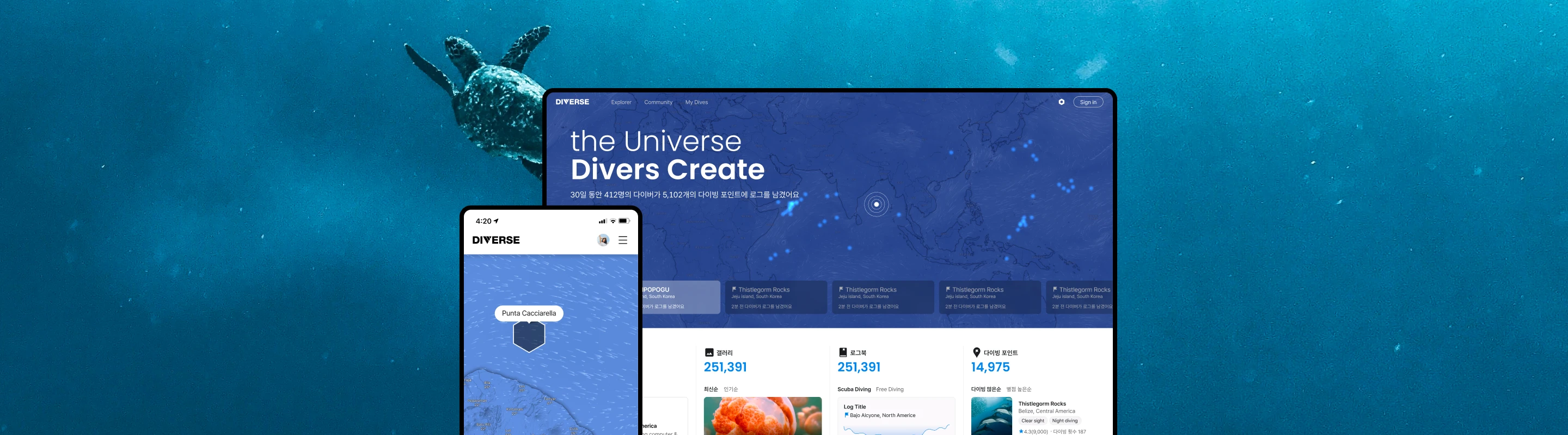 다이버를 위한 커뮤니티 DIVERSE 웹사이트 UX/UI | Work | pxd