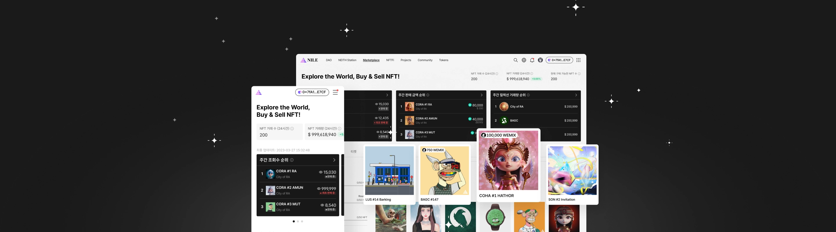 NILE NFT Marketplace | Work | pxd